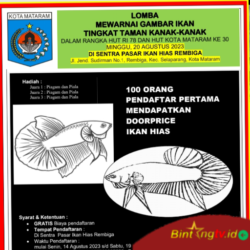 Rayakan HUT RI dan HUT Kota Mataram, Pedagang Ikan Hias Pasar Rembiga ...