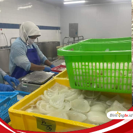 Dinas Kelautan dan Perikanan Kabupaten Sumbawa Tinjau Potensi Kerjasama ...